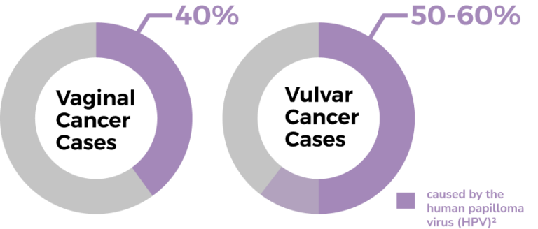 Vaginal and Vulvar Cancer - Gynecologic Cancer Initiative