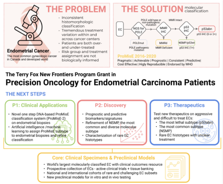 Endometrial Cancer Molecular Classification - Gynecologic Cancer Initiative